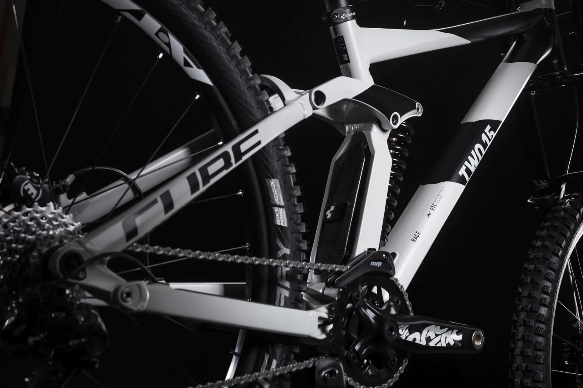 2019 Cube Two15 Race Downhill bike in Grey
