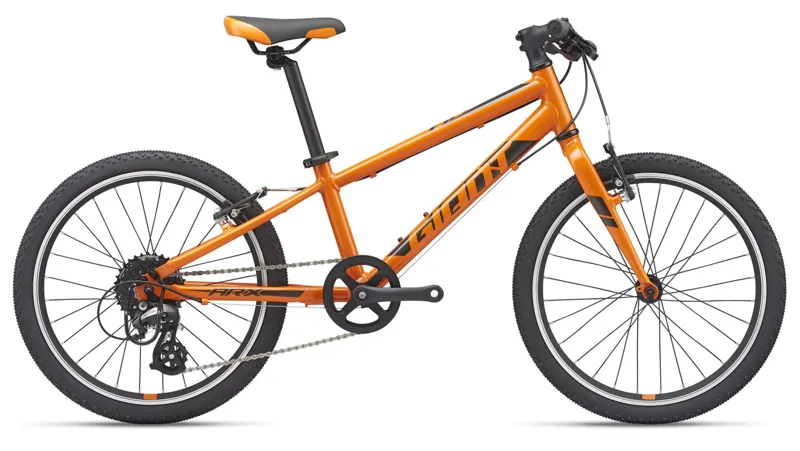 2020 Giant ARX 20 Childs Bike in Orange